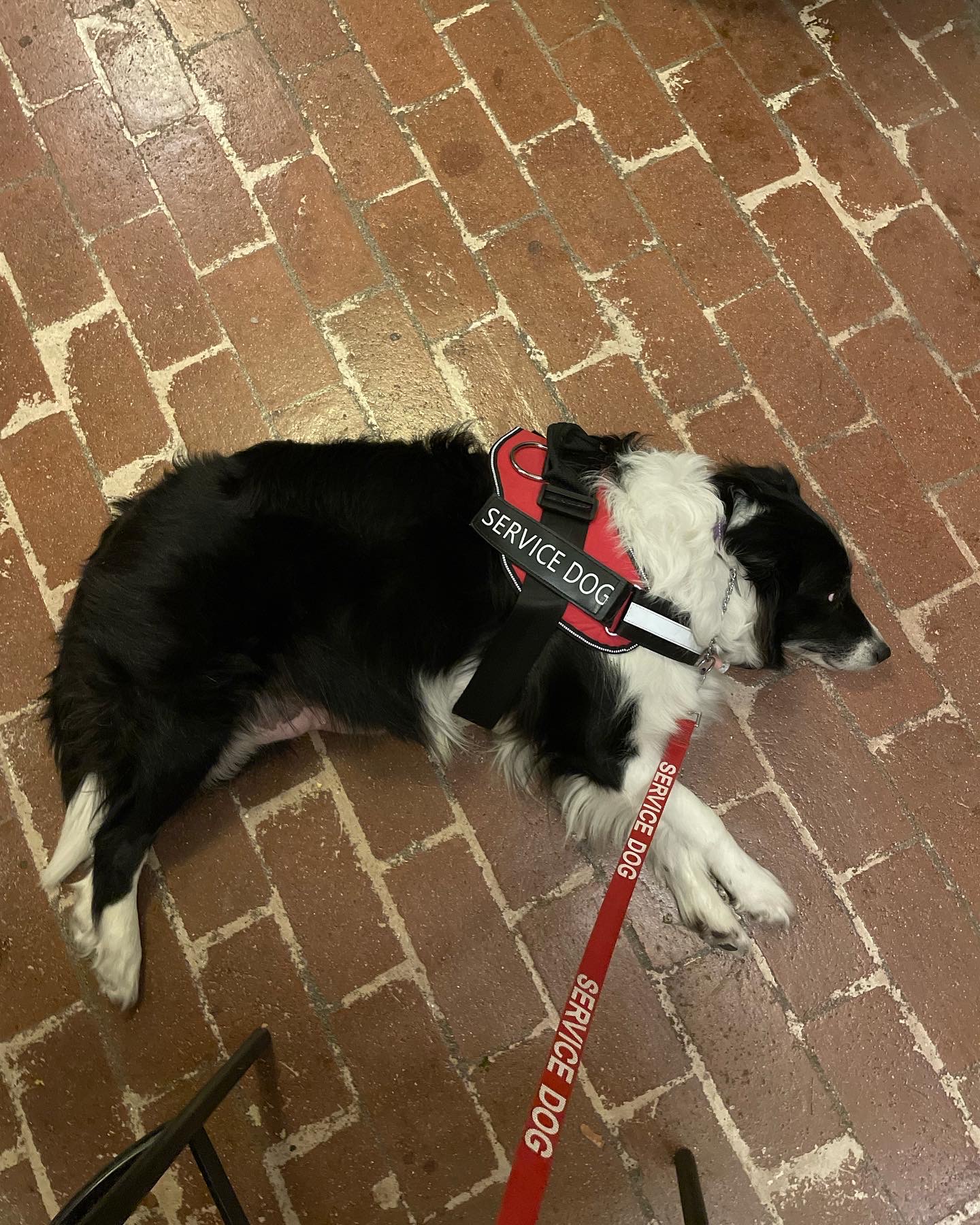 Michael James Bird (MichaelBird) • MuckRock