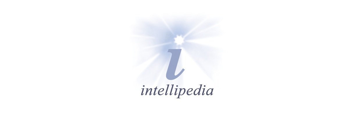 How you can (legally) read Intellipedia • MuckRock