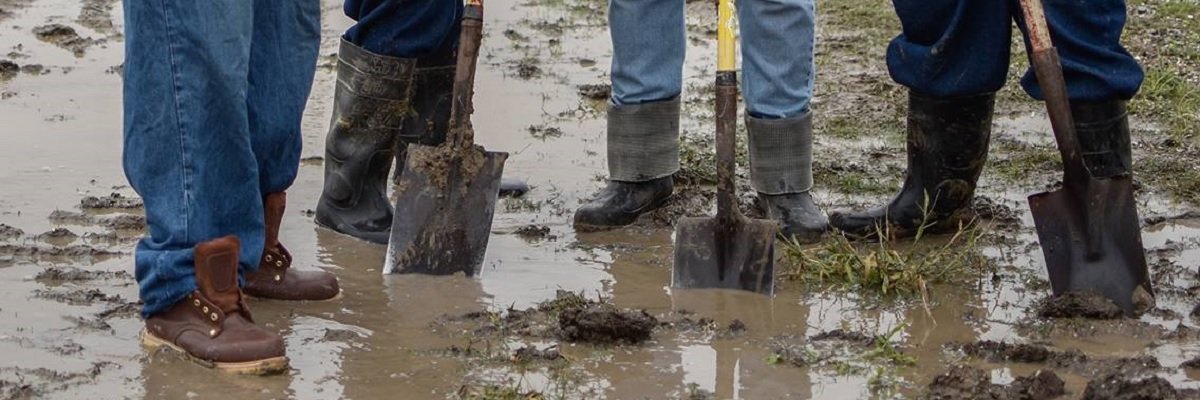 Louisiana records give insight into thousands of businesses that ...