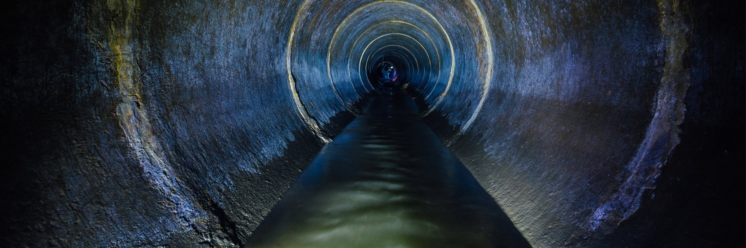 The national fight against COVID-19 isn't ready to go to the sewers ...